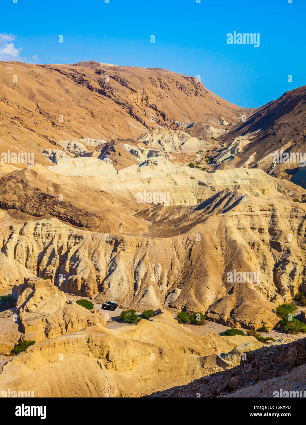 Dead sea dry hi-res stock photography and images - Alamy