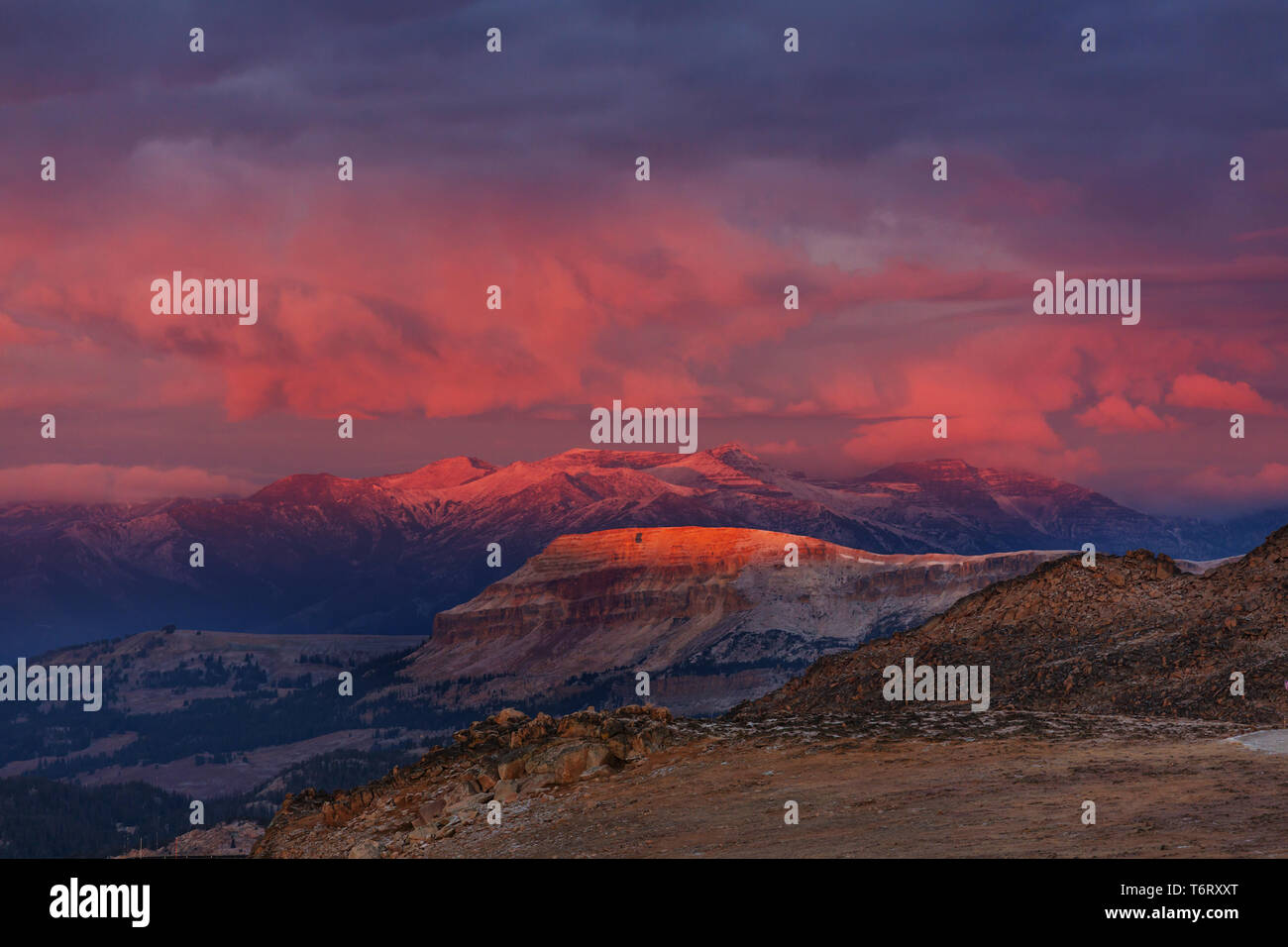 Bear tooth pass highway hi-res stock photography and images - Alamy