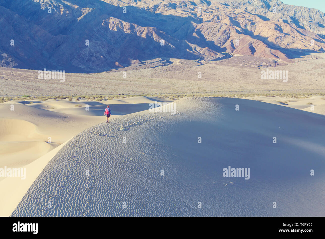 Sand dunes in California Stock Photo - Alamy