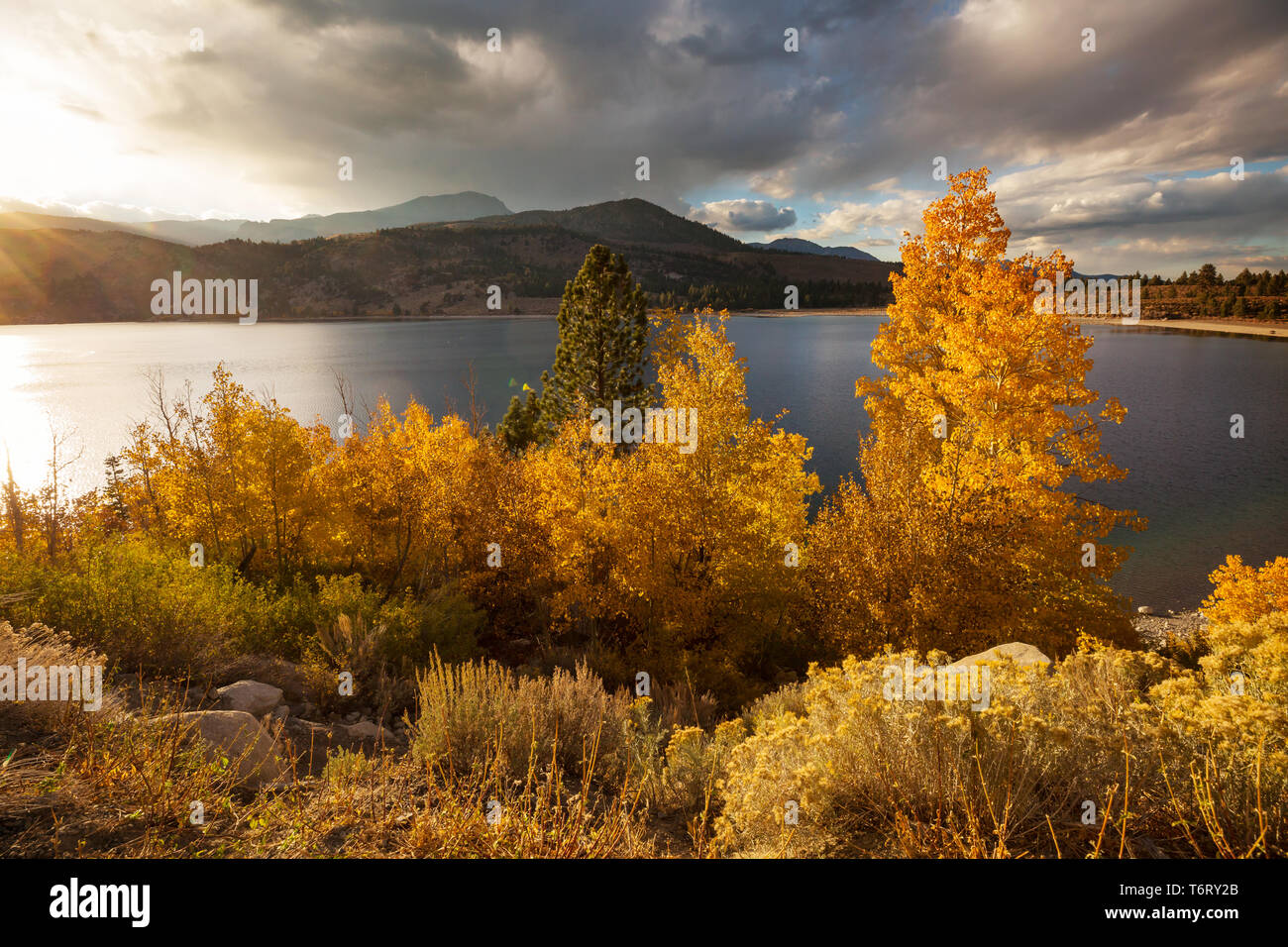 Autumn in Sierra Nevada Stock Photo - Alamy
