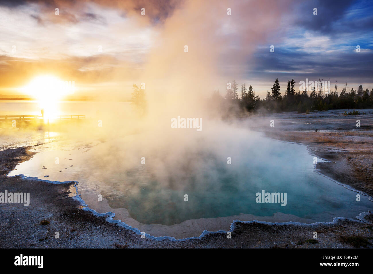 Geyser in Yellowstone Stock Photo - Alamy