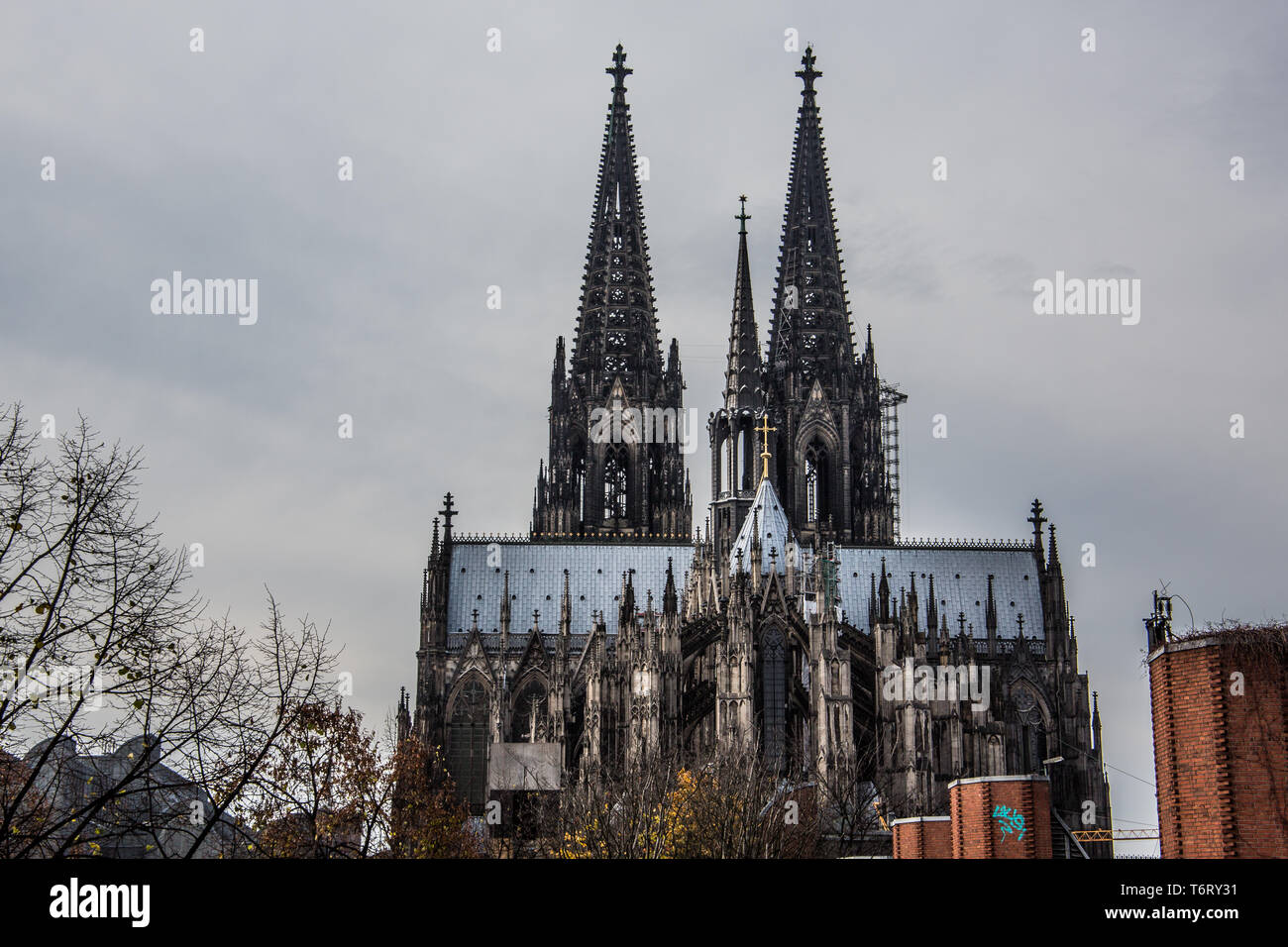 Cologne Cathedral from behind Stock Photo - Alamy