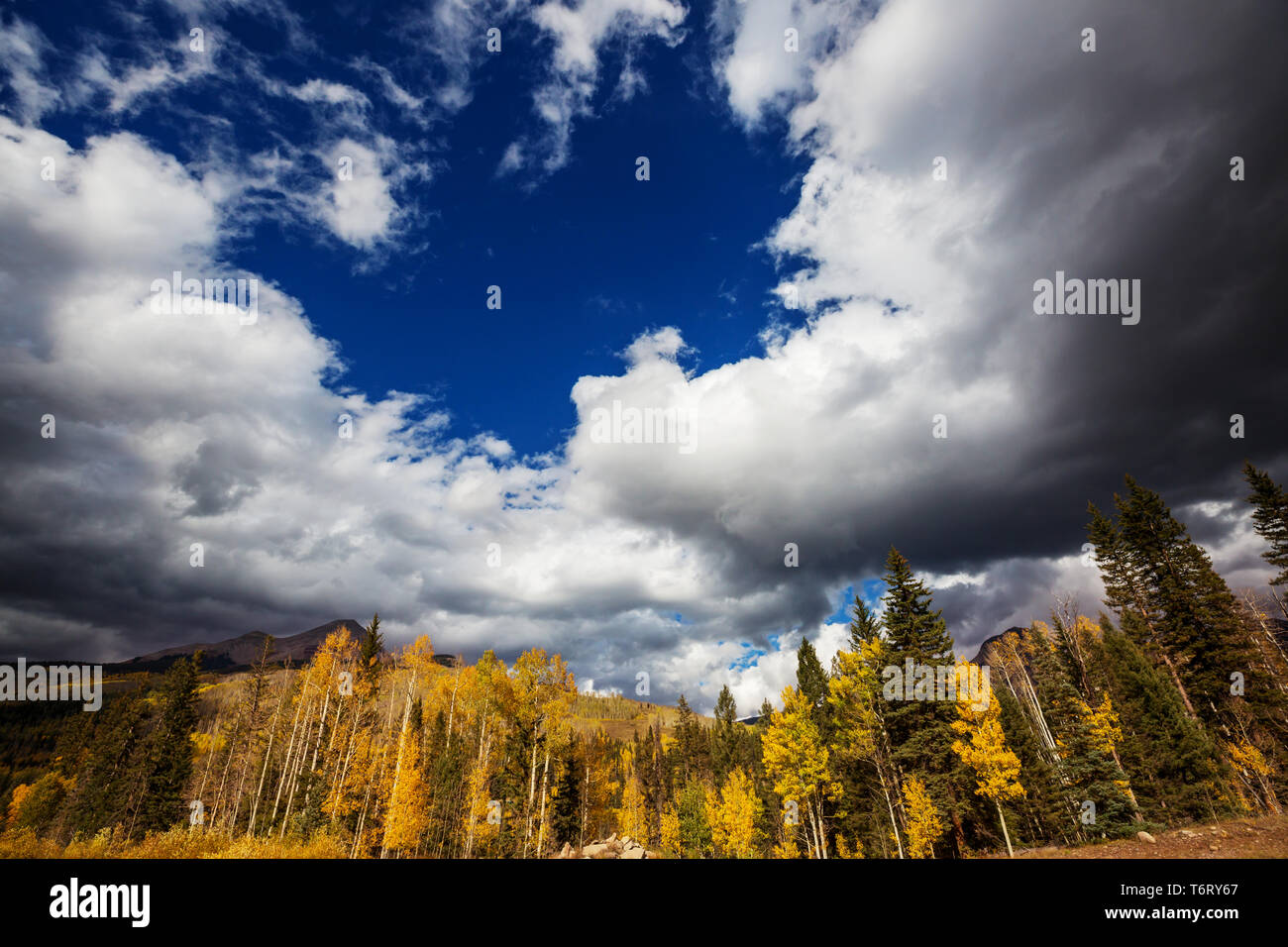 Autumn in Colorado Stock Photo - Alamy