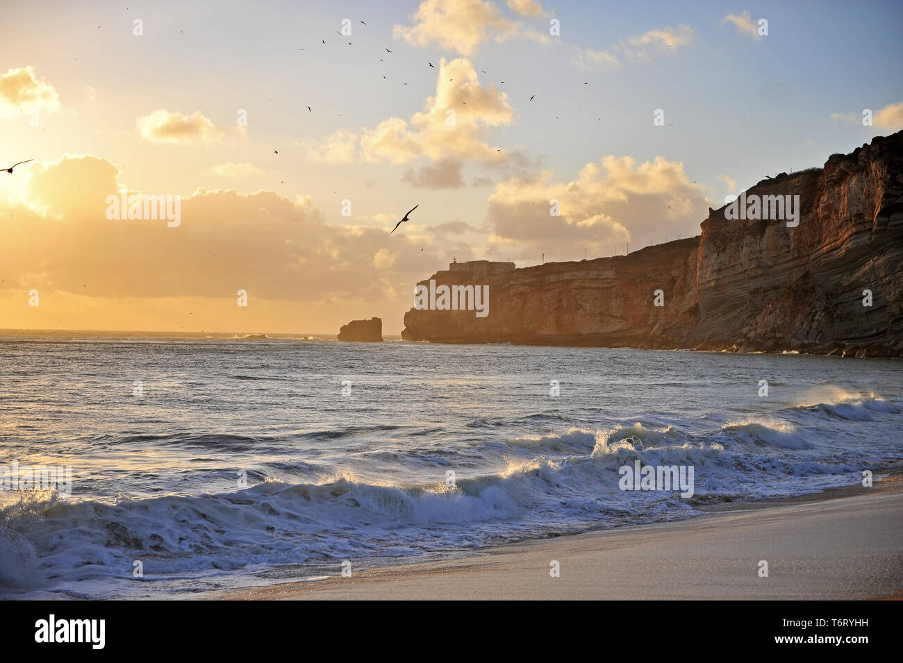 Old lighthouse and flying birds on sunset, Nazare, Portugal Stock Photo ...