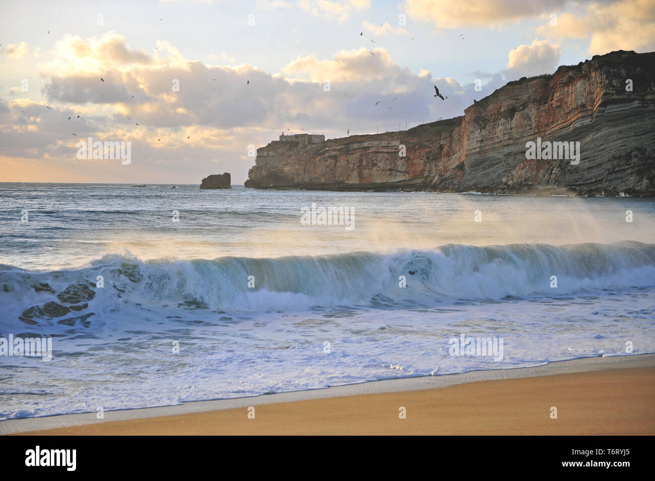 Nazare beach and lighthouse on cliffs on sunset, Portugal Stock Photo ...