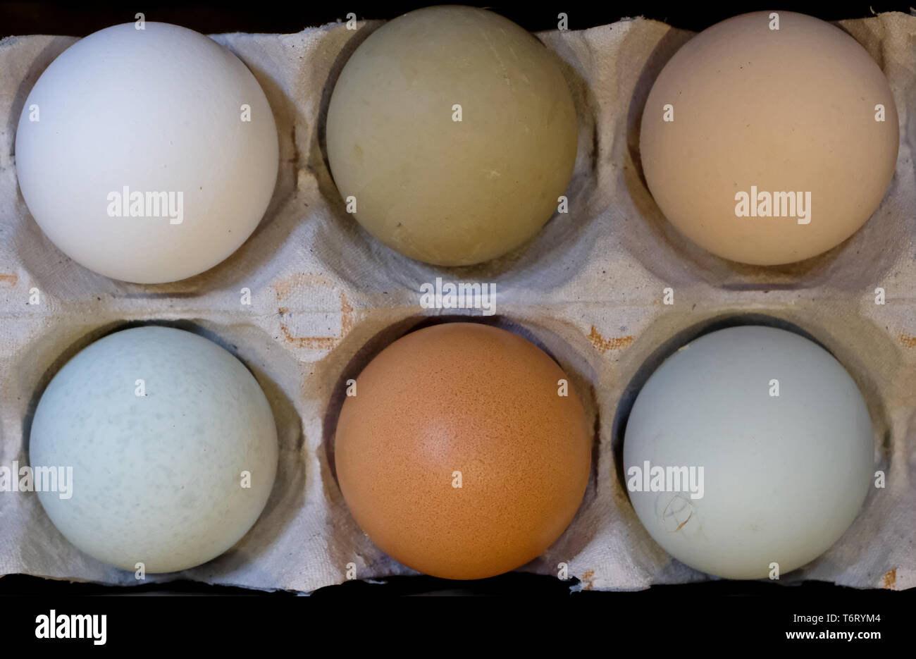 Variety of eggs of different colours in a cardboard egg box ...
