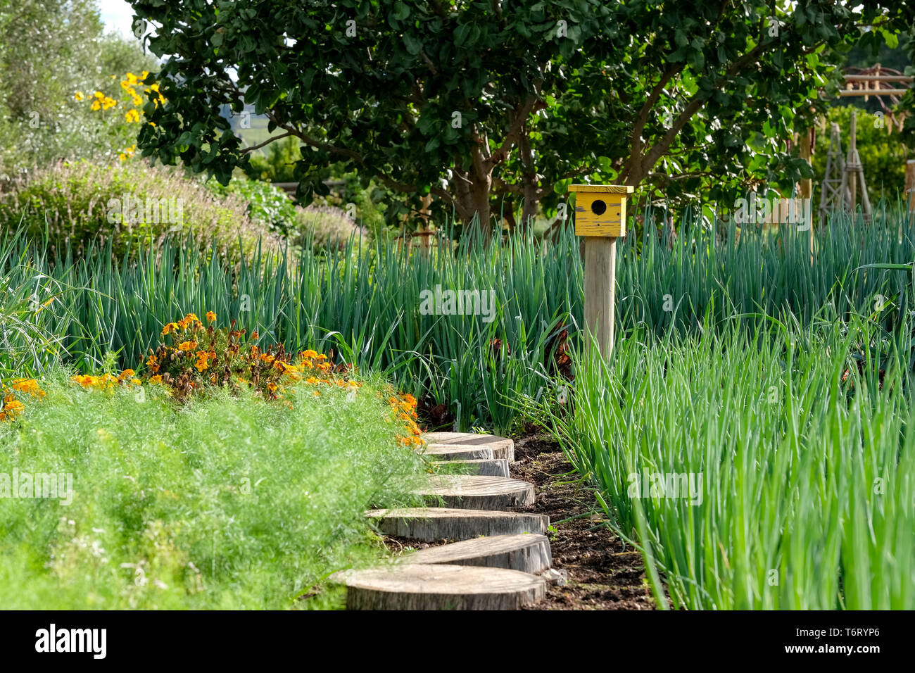 Haven of biodiversity hi-res stock photography and images - Alamy