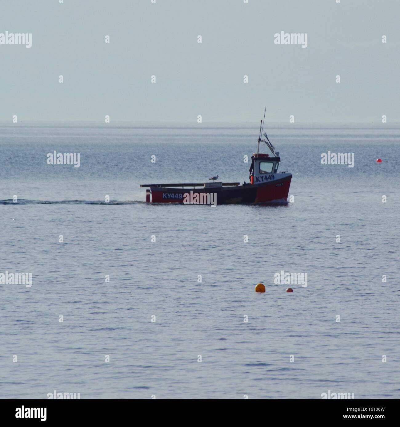Small Red Lobster Fishing Boat on a Calm Firth of Forth at Dawn. Fife ...