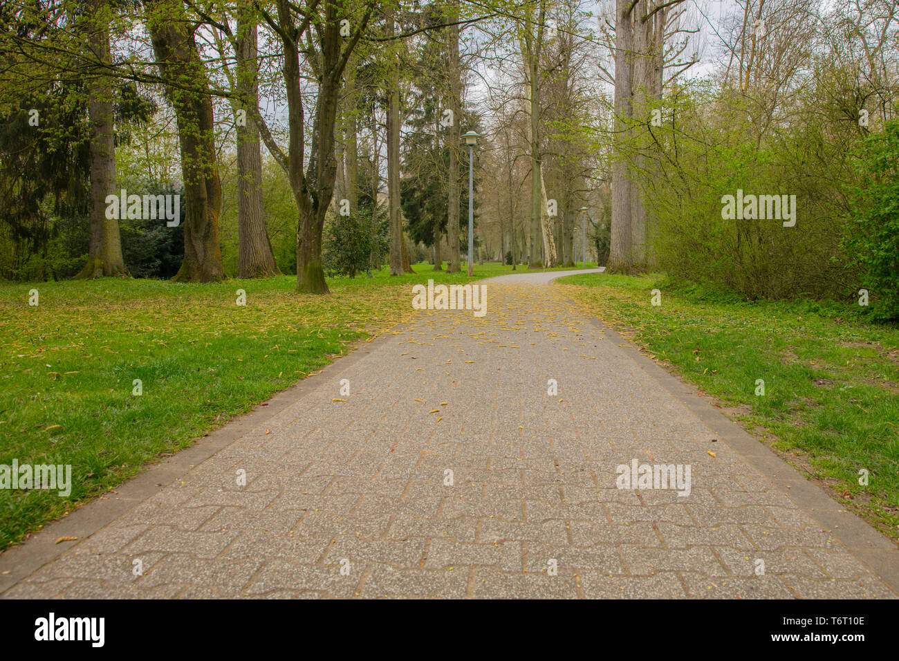 concrete path in a city park Stock Photo - Alamy