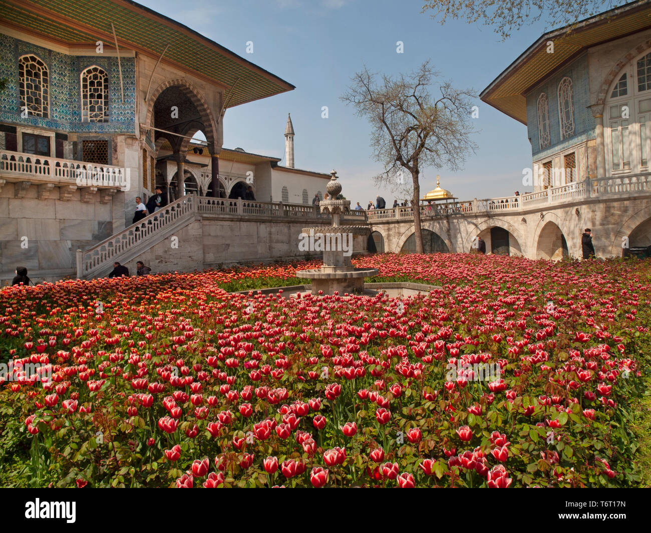 Tulips in a courtyard of the Topkapi Palace Stock Photo - Alamy