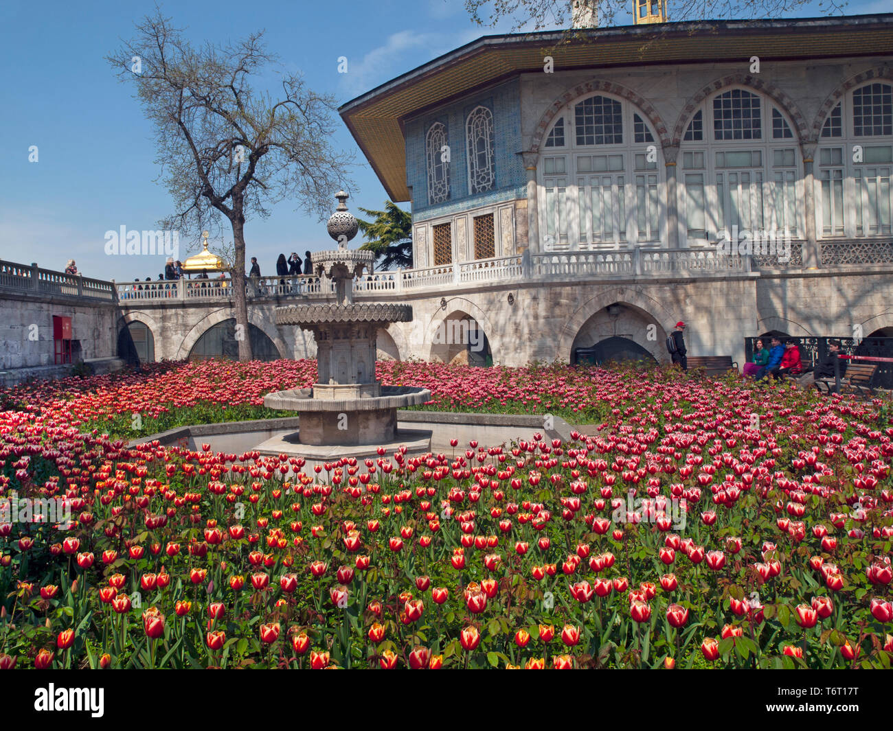 Tulips in a courtyard of the Topkapi Palace Stock Photo - Alamy