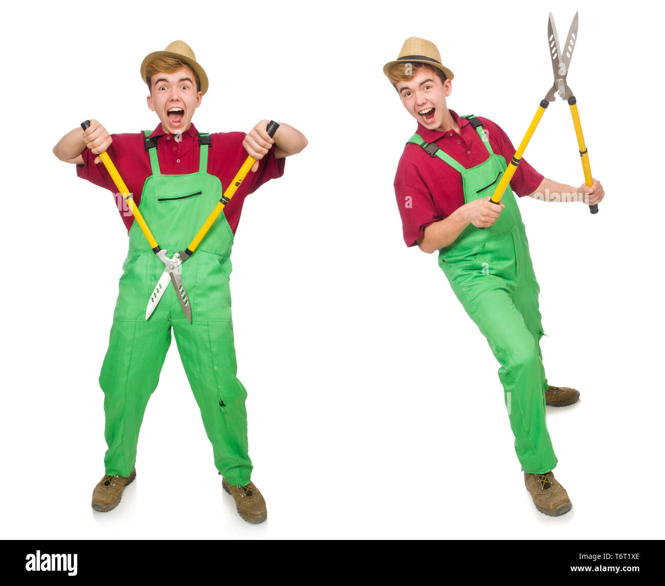 Collection of shears Cut Out Stock Images & Pictures - Alamy