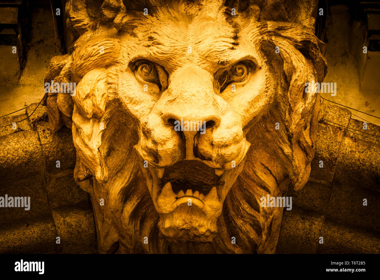 Lion-Shaped Demon head Stock Photo - Alamy