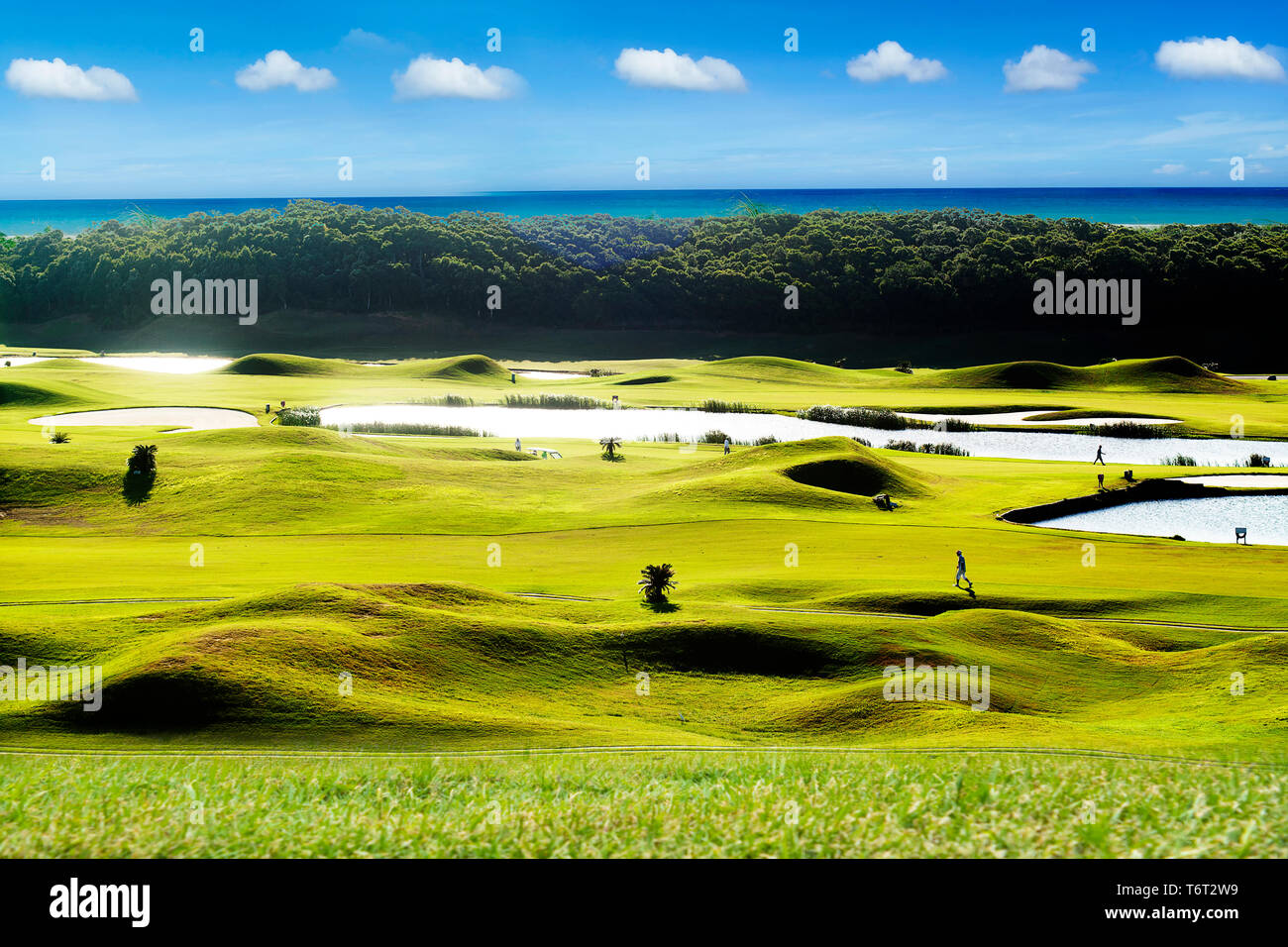 The beautiful golf place on green in beautiful golf course with sunset ...