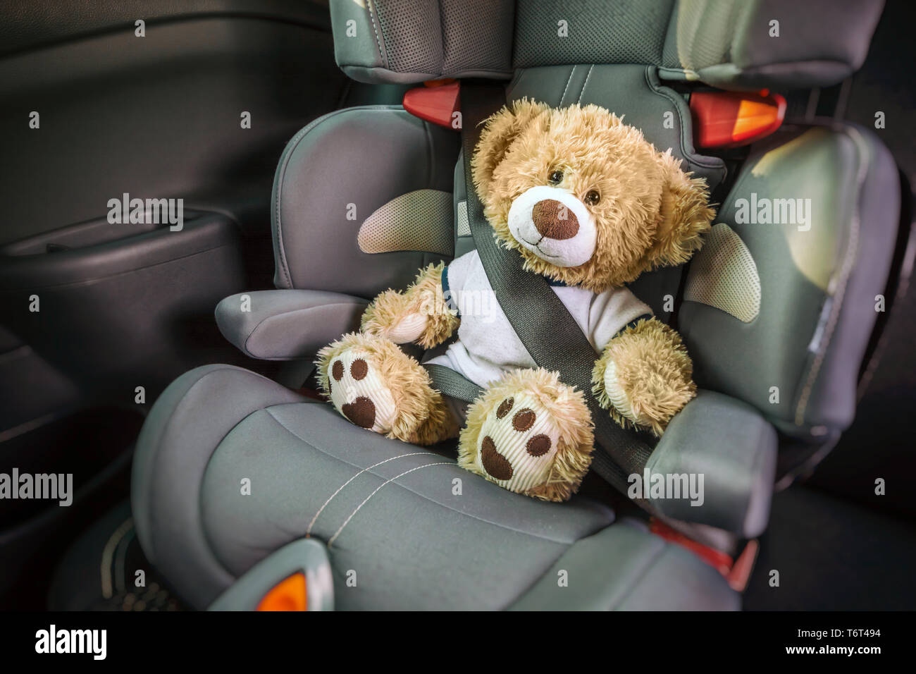 Teddy bear car safety belt hi-res stock photography and images - Alamy