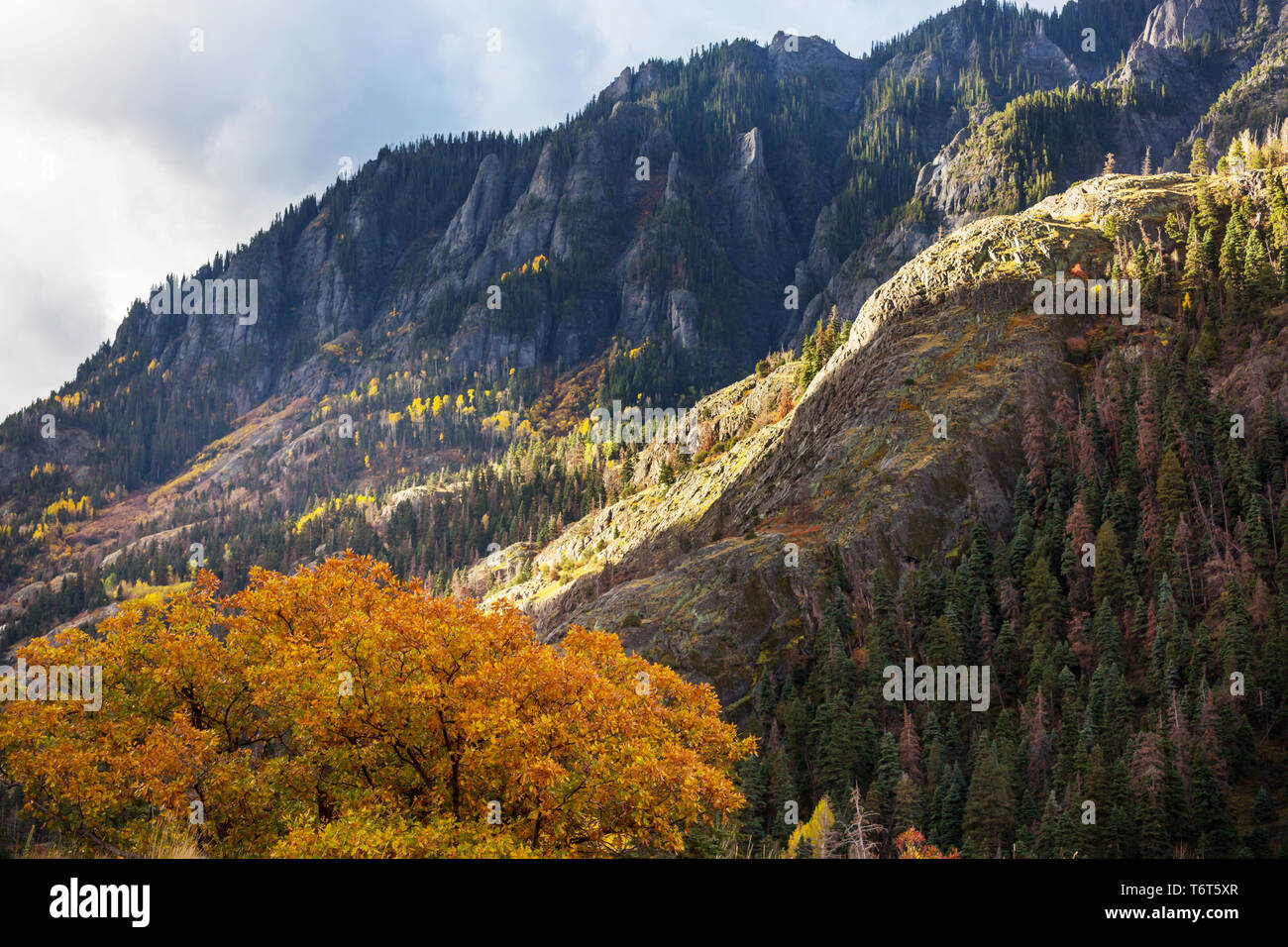 Autumn in Colorado Stock Photo - Alamy