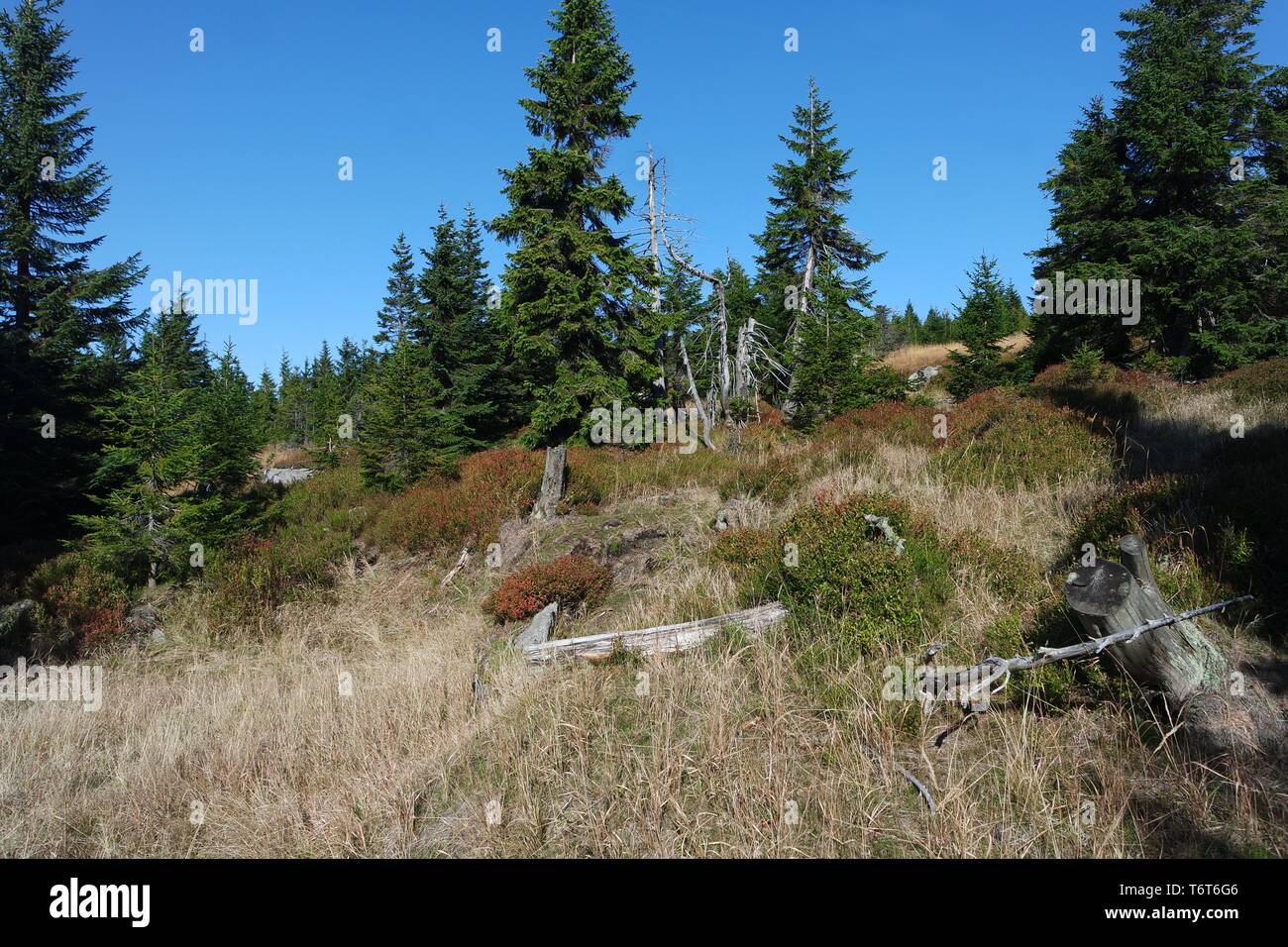 Giant Mountains landscape, Czech Republic Stock Photo - Alamy