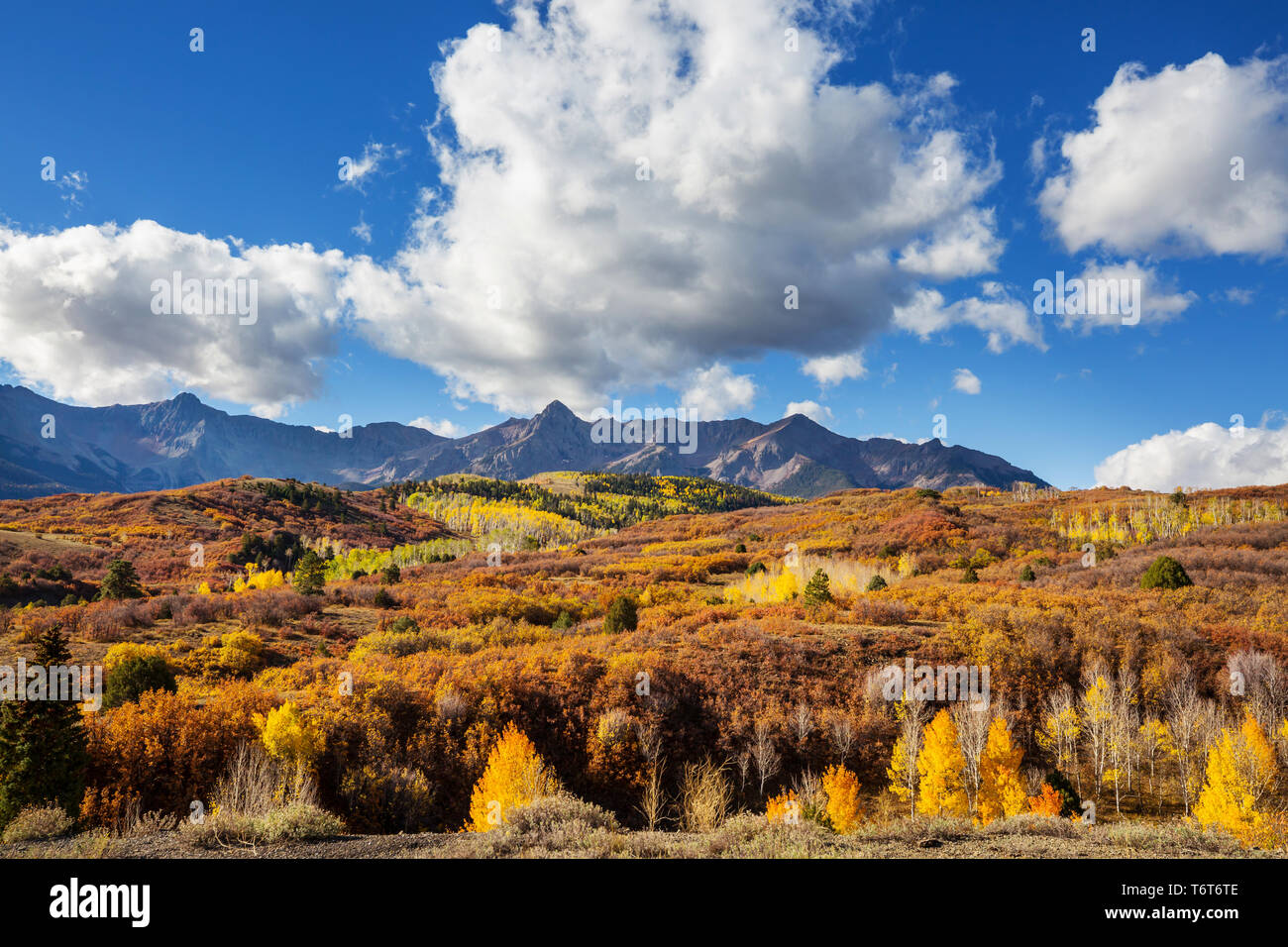 Autumn in Colorado Stock Photo - Alamy