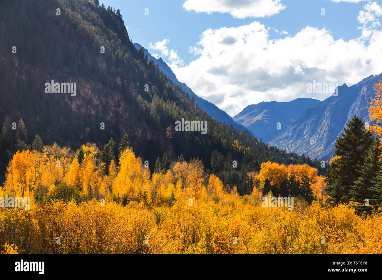Autumn in Colorado Stock Photo - Alamy