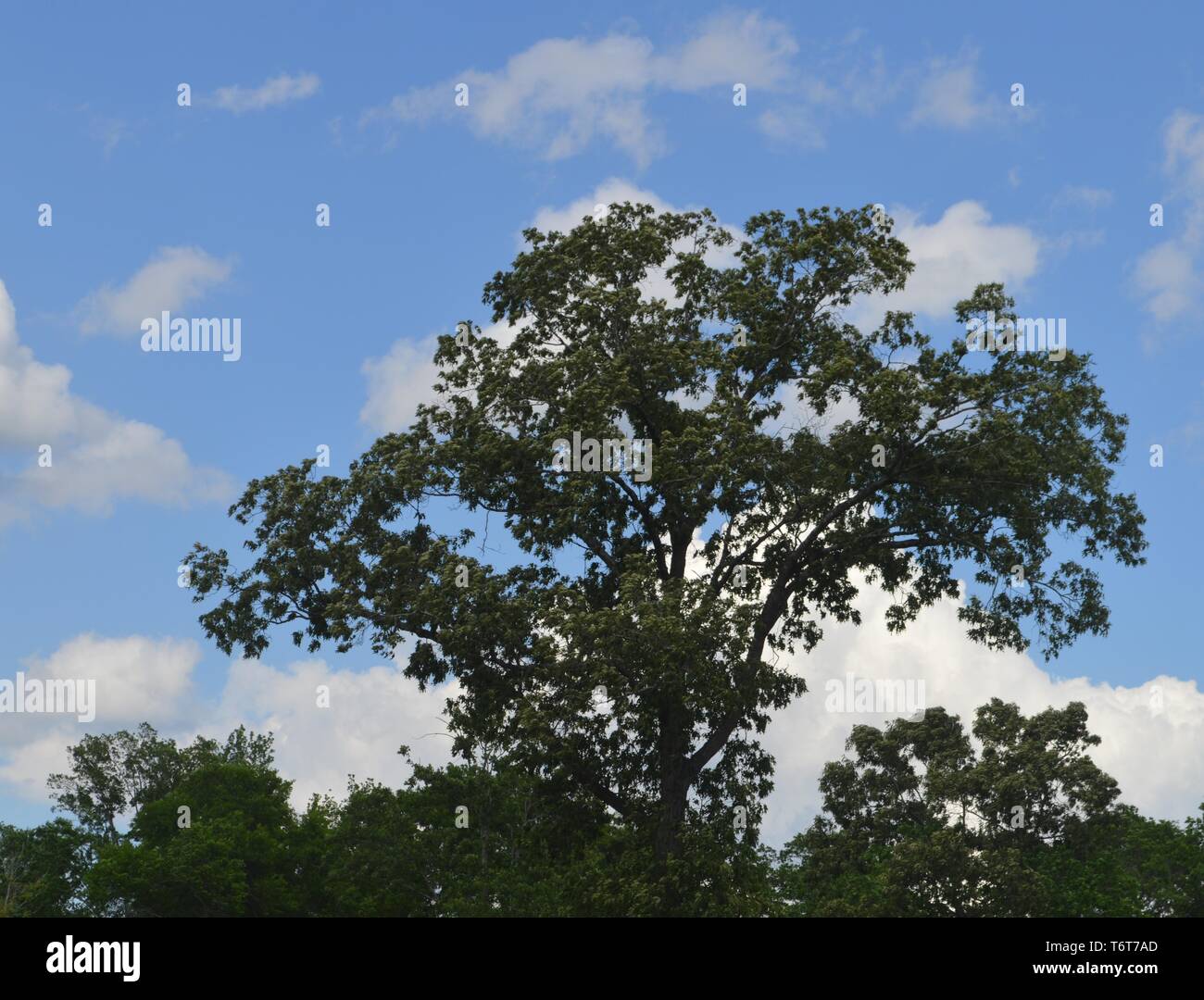 Pretty serenity hi-res stock photography and images - Alamy
