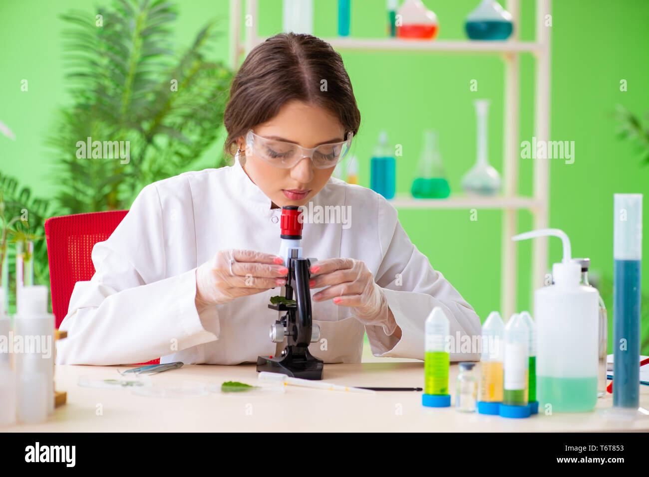 Beautiful female scientist examining hi-res stock photography and ...