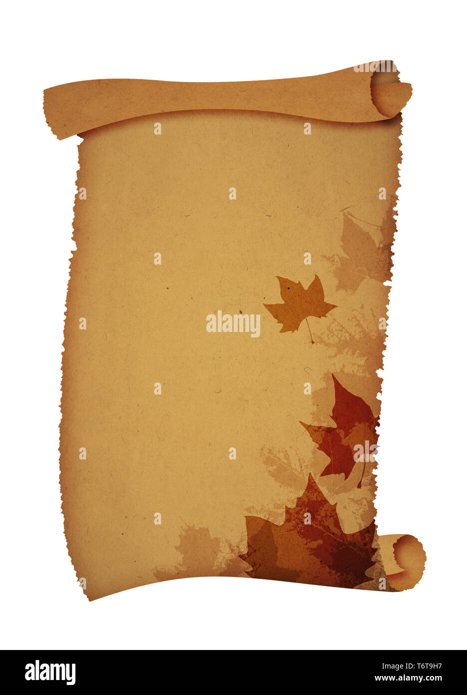 old scroll parchment background for your messages and designs Stock ...