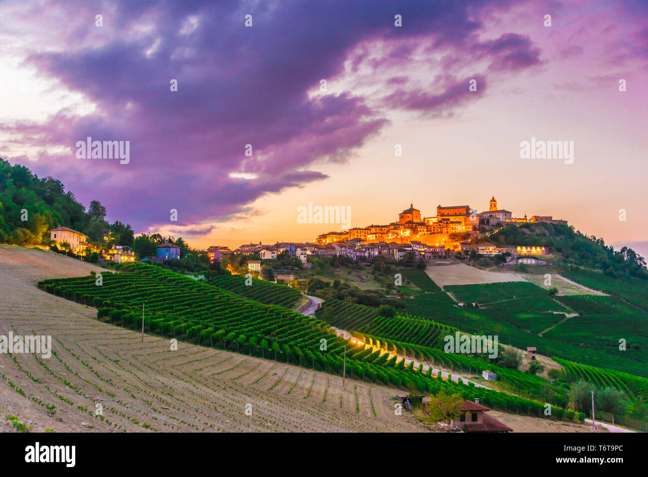 La morra comune hi-res stock photography and images - Alamy