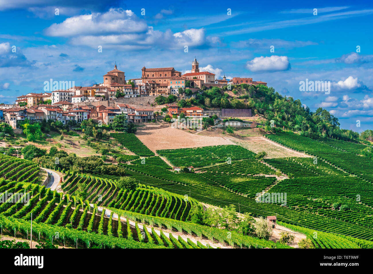 La morra comune hi-res stock photography and images - Alamy