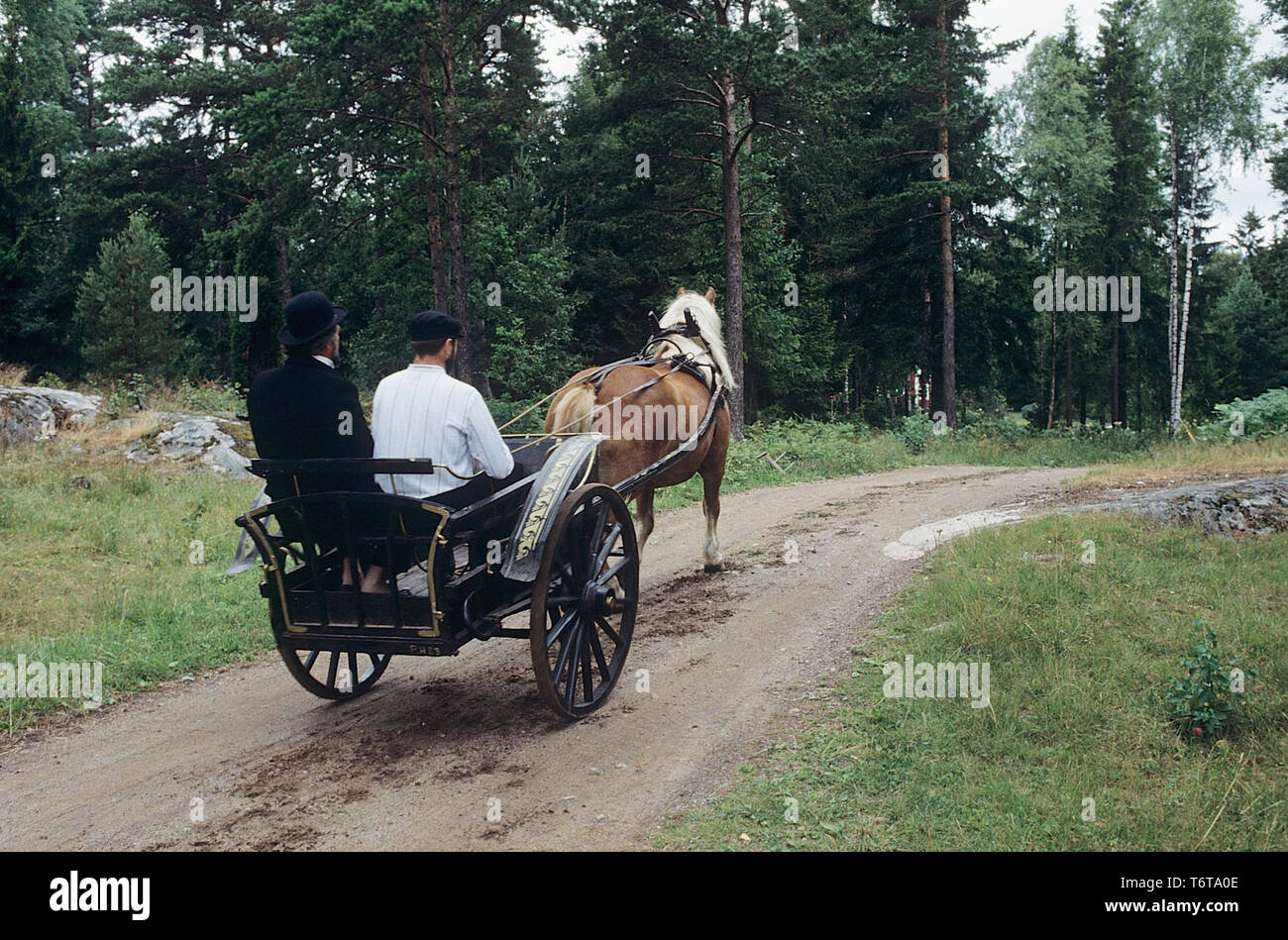 Horse and carriage. Two men ride in an antique wagon behind a horse ...