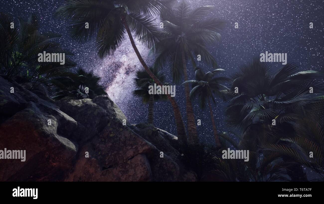 4K hyperlapse star trails over sandstone canyon walls and palms Stock ...