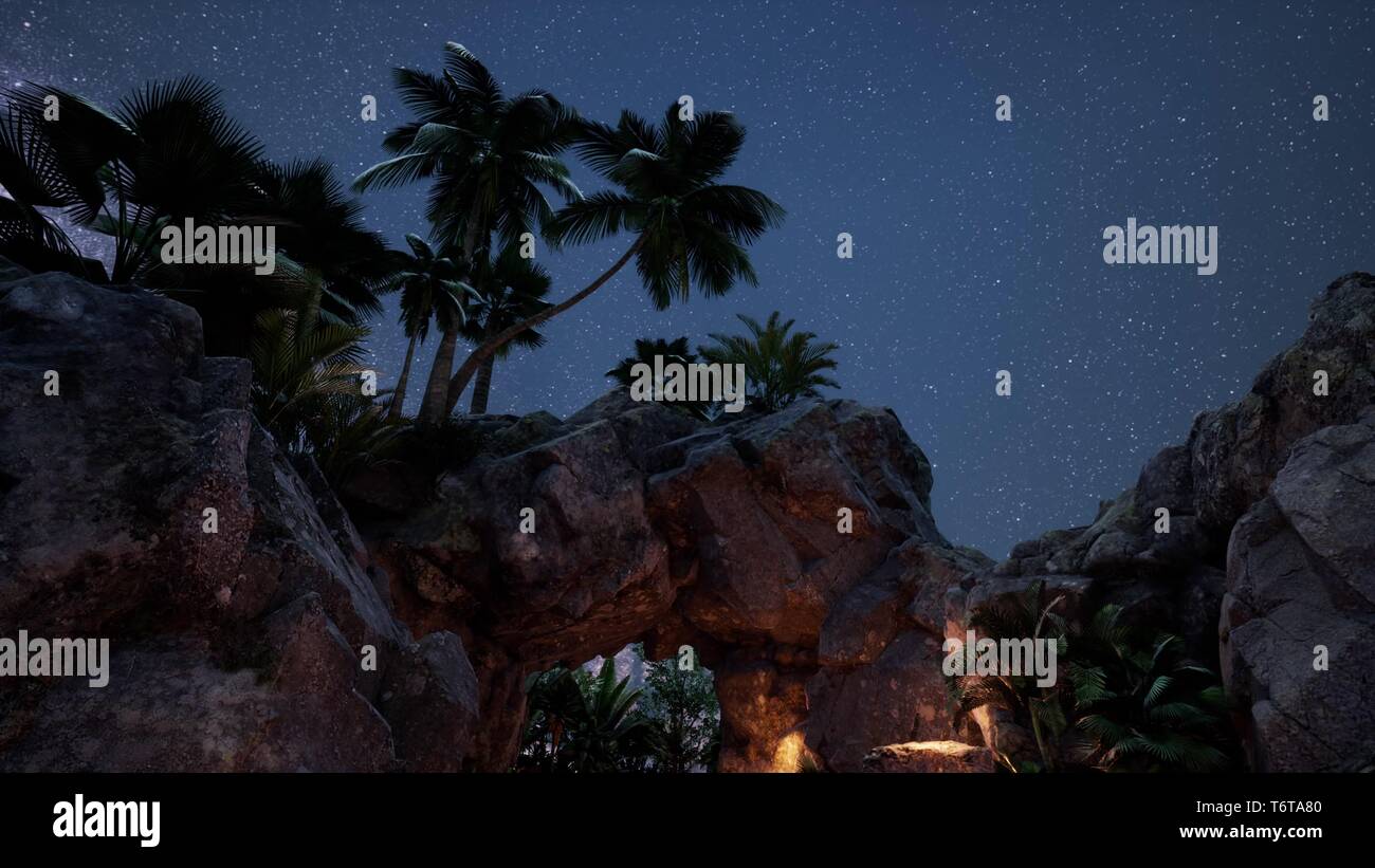 4K hyperlapse star trails over sandstone canyon walls and trees Stock ...