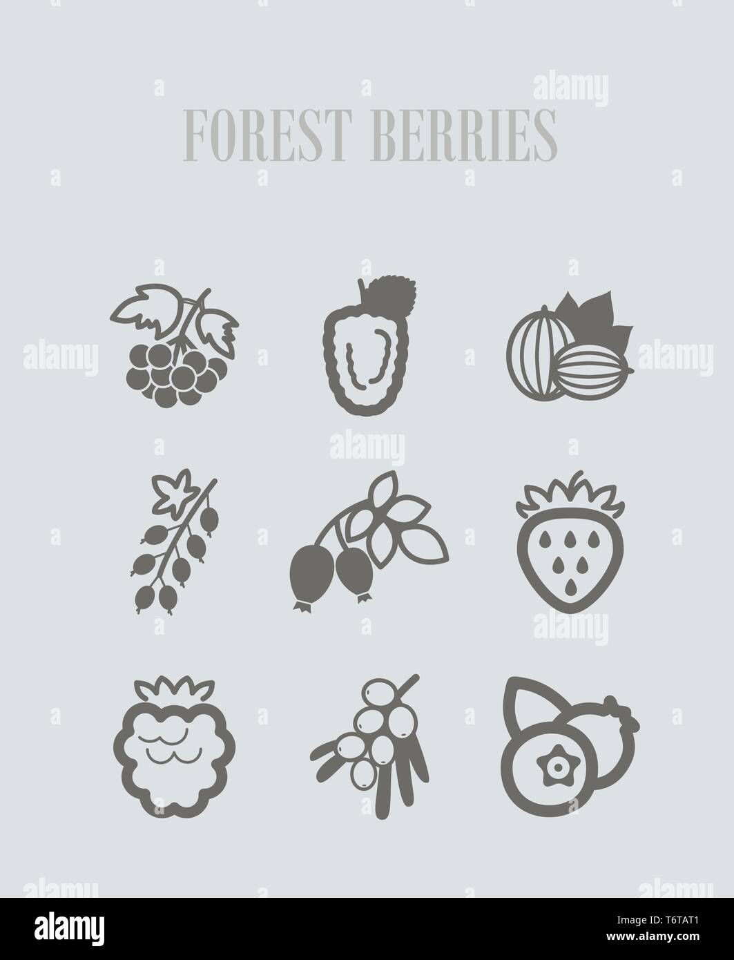 Forest berries icons set. Vector illustration for food apps and ...