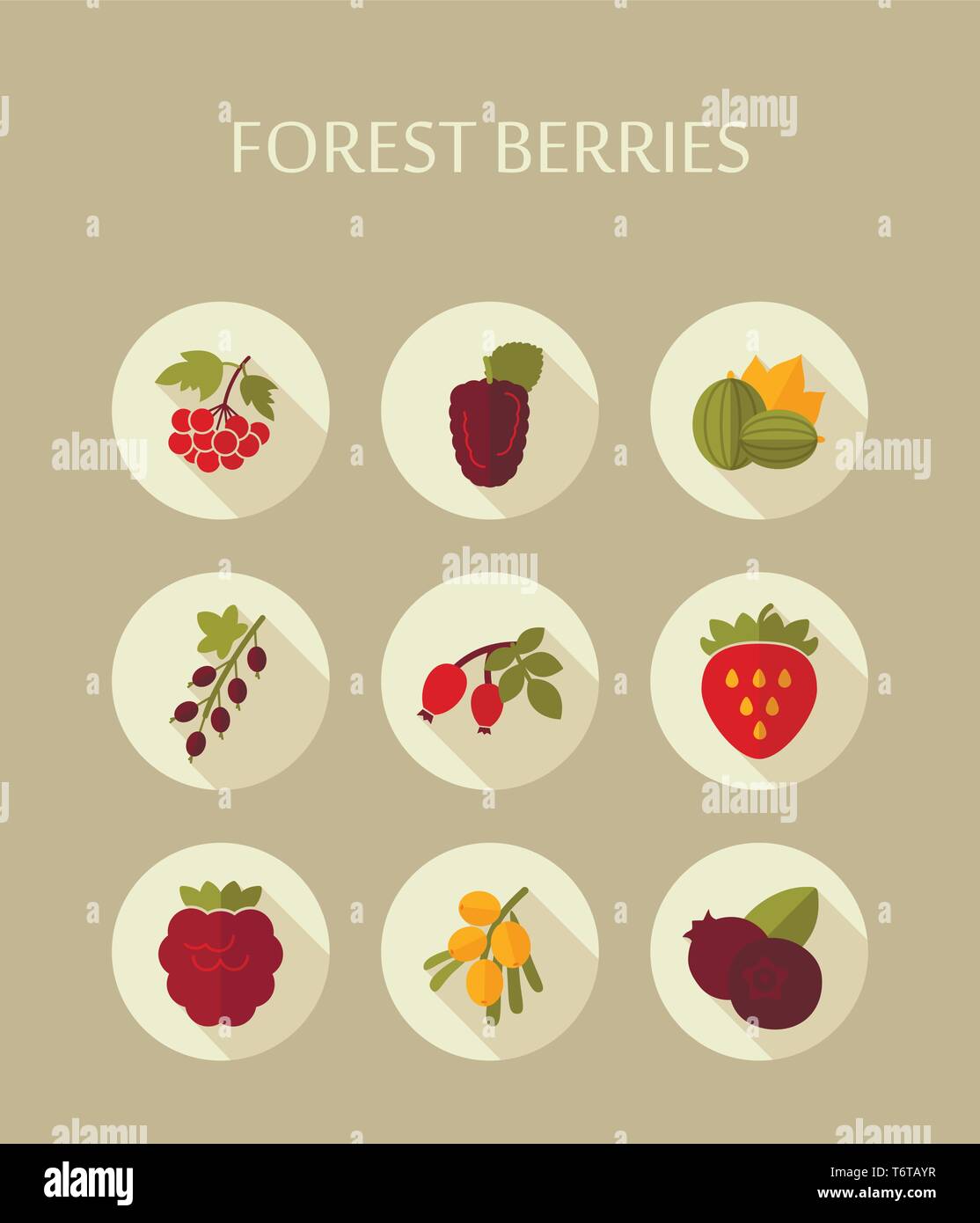 Forest berries icons set. Vector illustration for food apps and ...