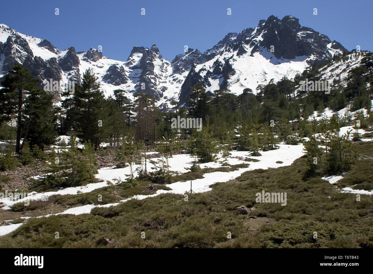 Monte cinto range hi-res stock photography and images - Alamy