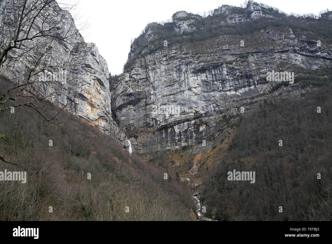 Limestone cliff waterfall and woodland near Pont-en-Royans Parc Naturel ...