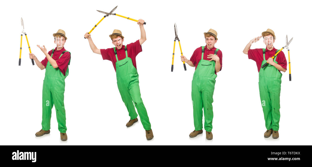 Collection of shears Cut Out Stock Images & Pictures - Alamy