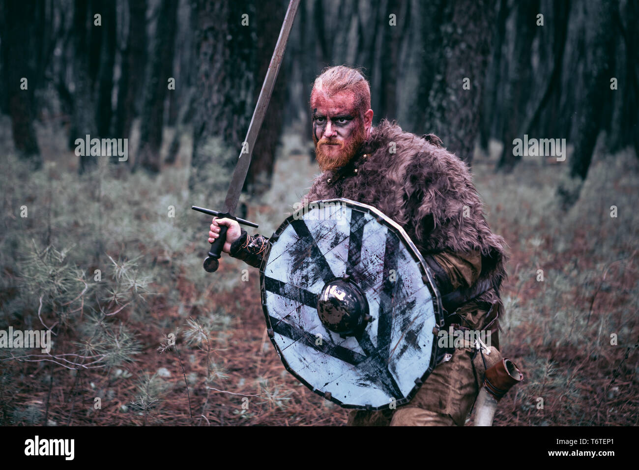 Viking fight hi-res stock photography and images - Alamy