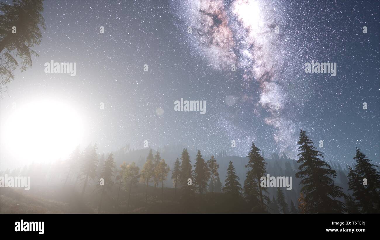 Milky Way stars with moonlight above pine trees forest Stock Photo - Alamy