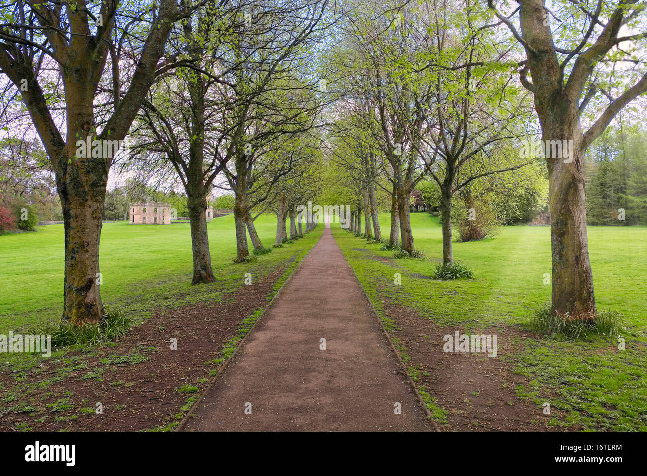 Eglinton country park hi-res stock photography and images - Alamy