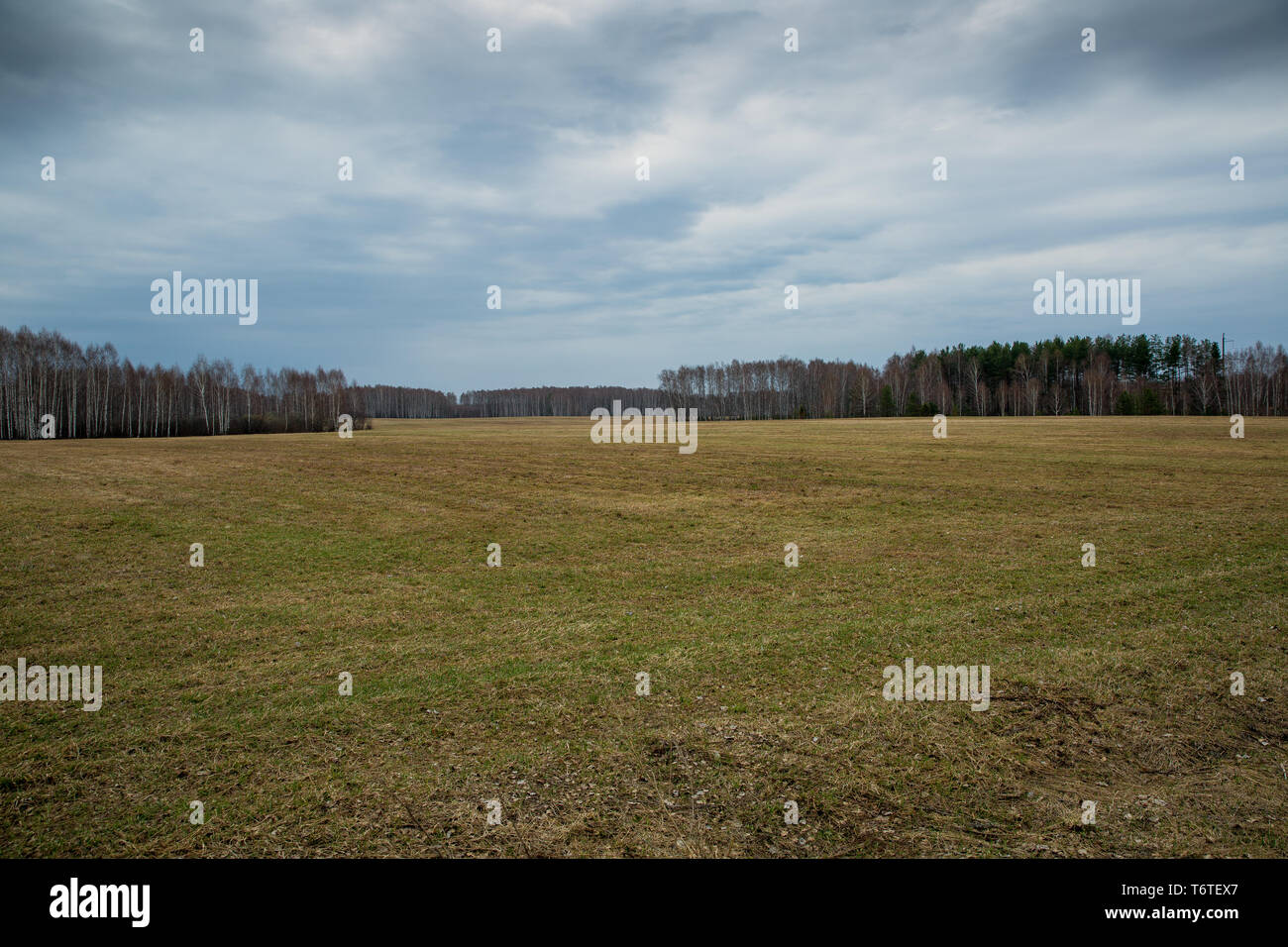 Spring sowing season ground hi-res stock photography and images - Alamy