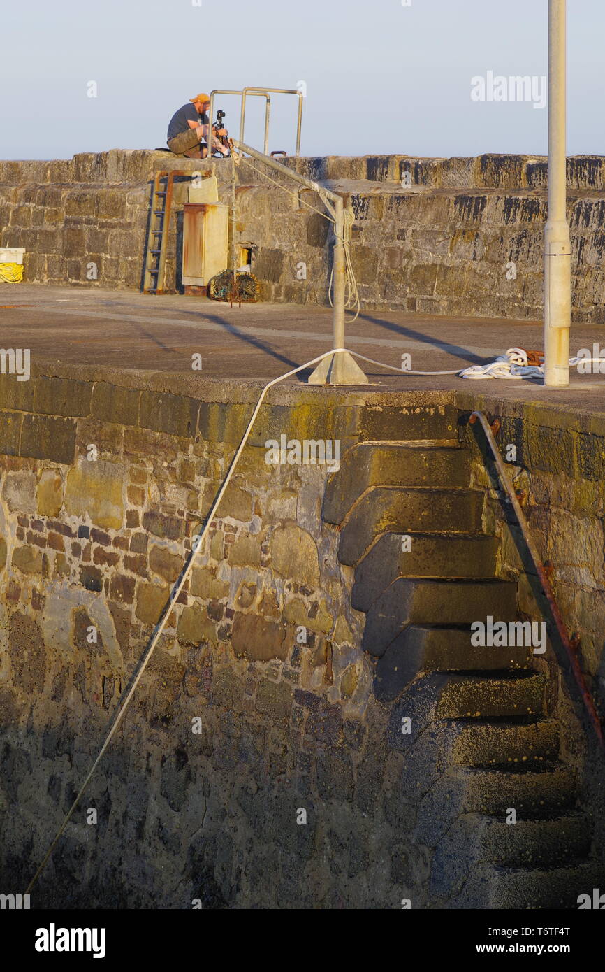 St Monans Harbour in the Golden Light of a Summer Evening, Fife ...