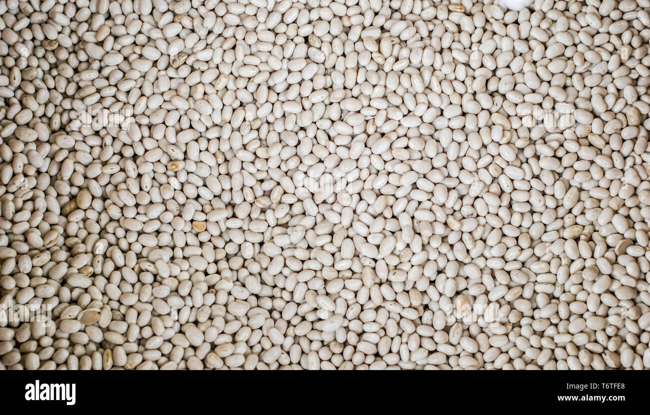 dry phaseolus kidney bean texture Stock Photo - Alamy