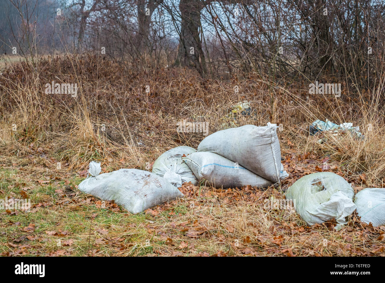 heaps of garbage bags thrown out in the woods Stock Photo - Alamy