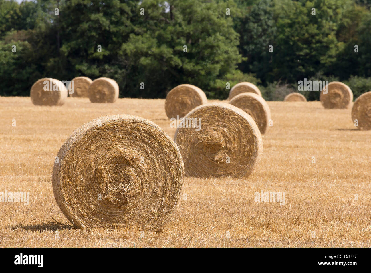 Hay Bales Close Up High Resolution Stock Photography and Images - Alamy