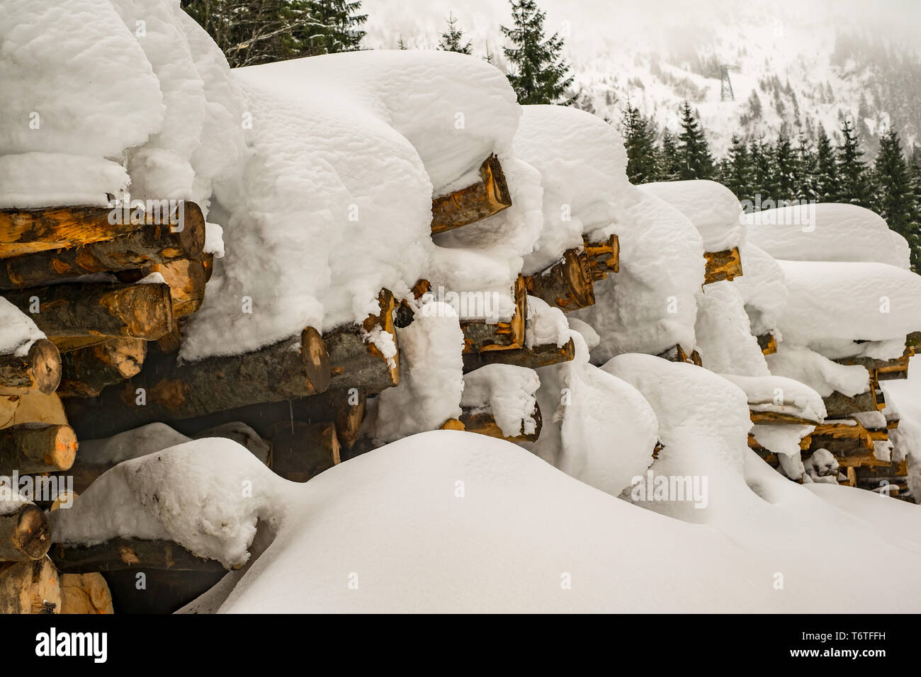 Large pile or stock of firewood for heating furnace covered with snow ...