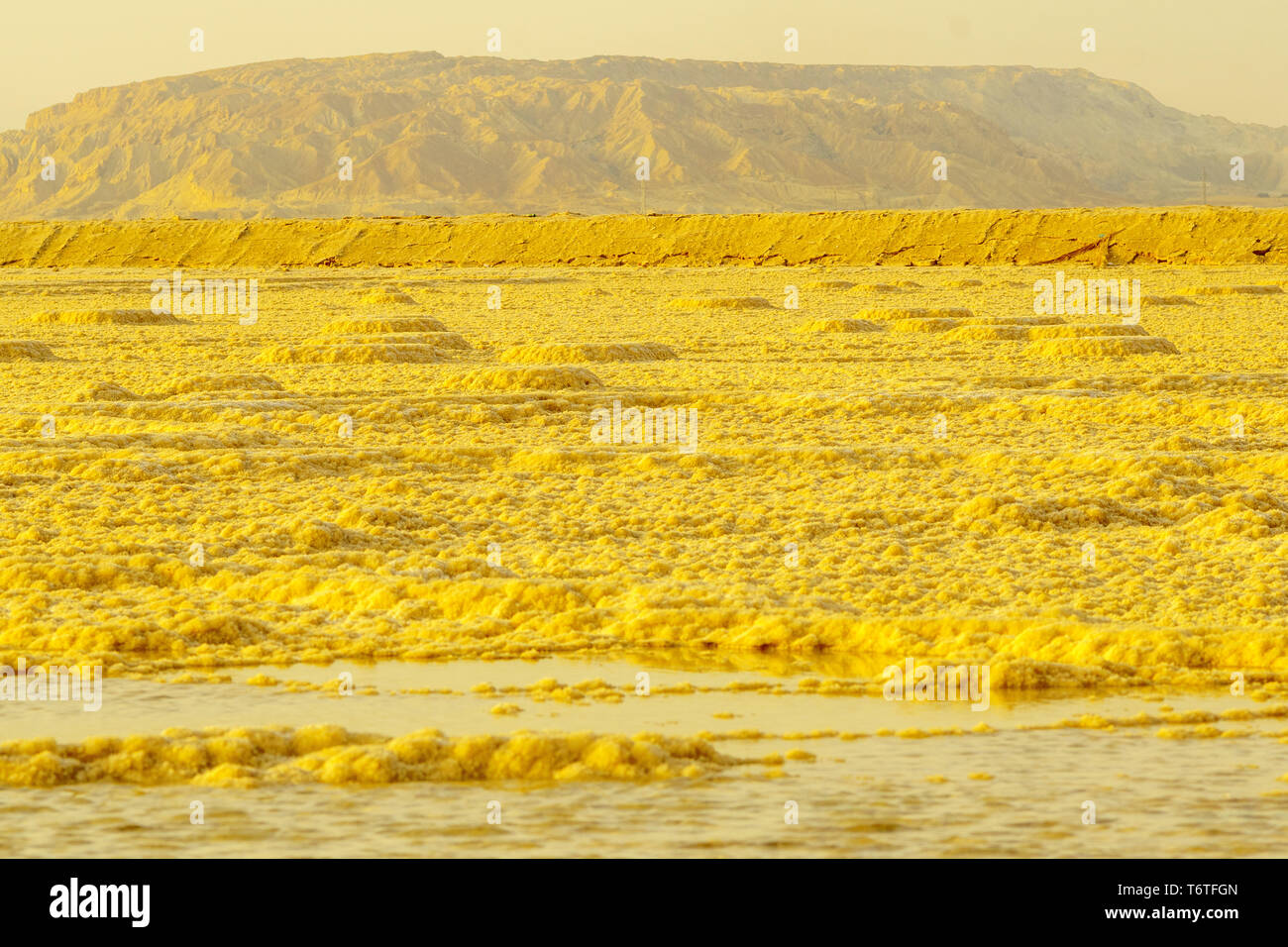 Sunrise view of salt formation in the Dead Sea, and desert landscape ...