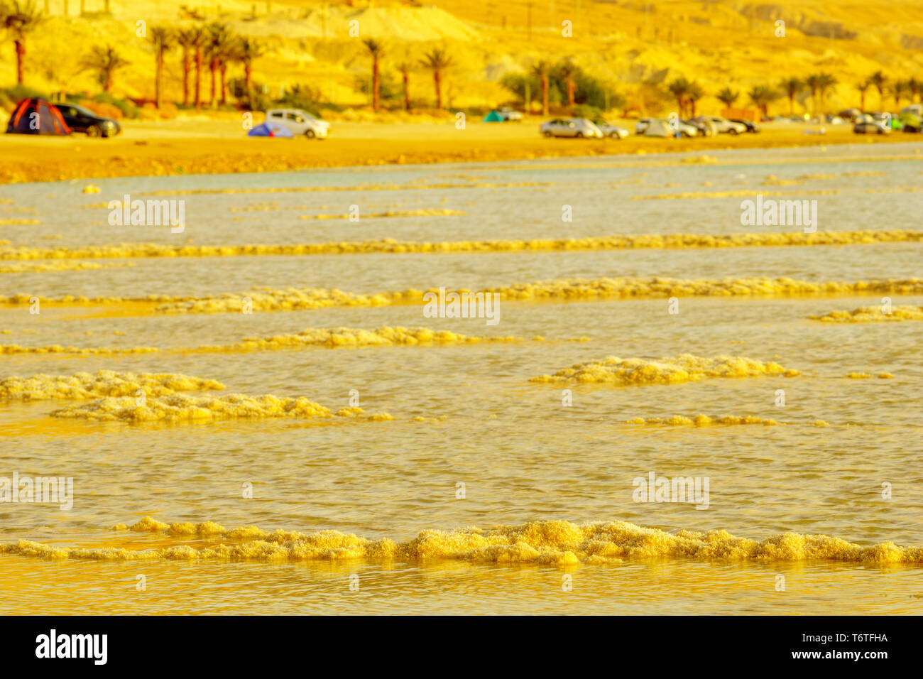 Sunrise view of salt formation in the Dead Sea, the Ein Bokek resort, and desert landscape ...