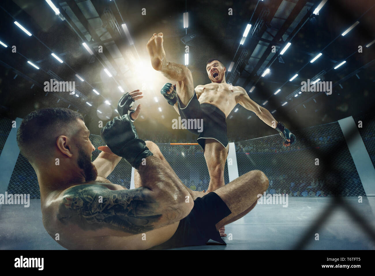 Boxer posing fighting boxing ring hi-res stock photography and images ...