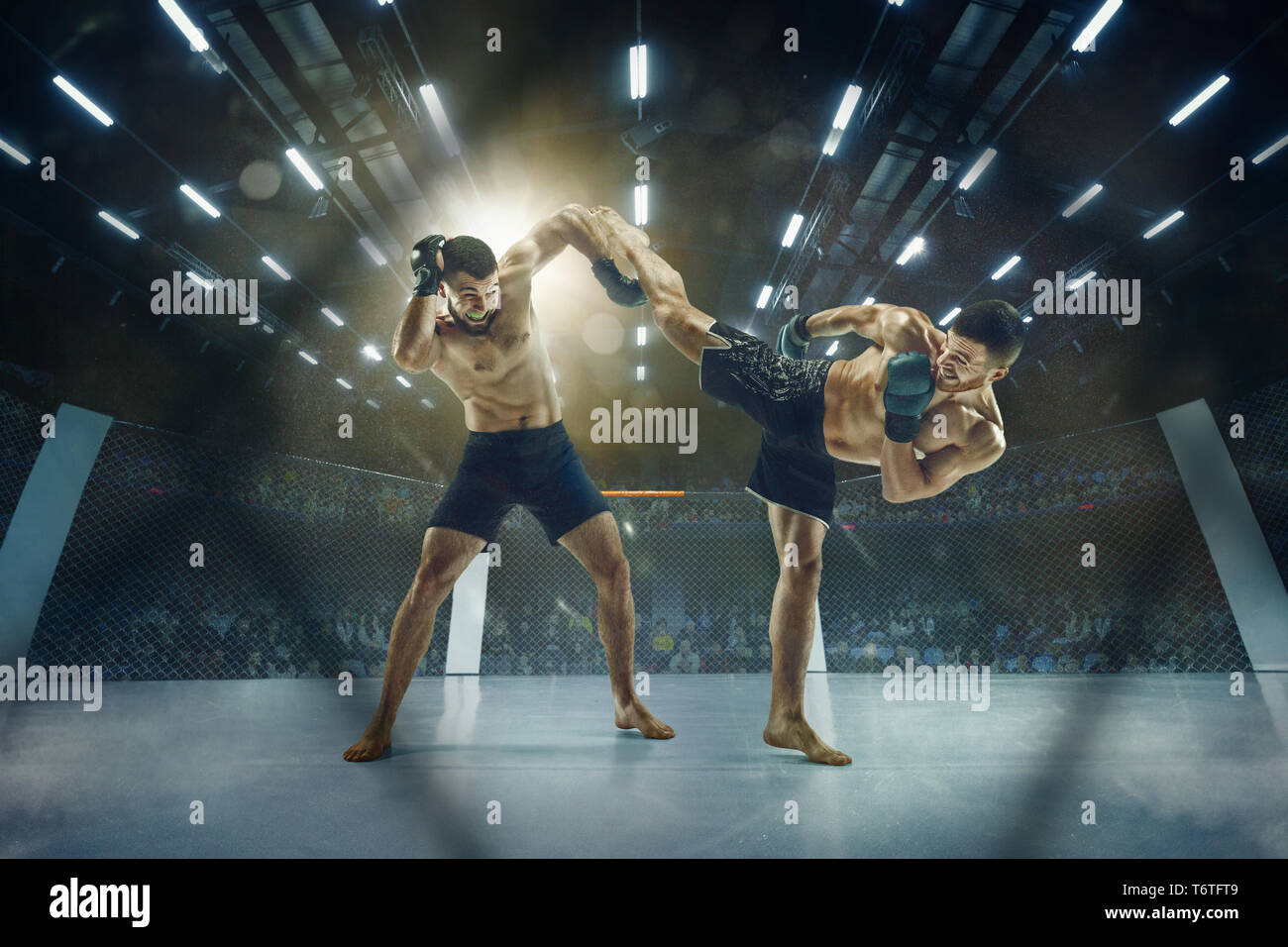 Ready to defend and attack. Two professional fighters posing on the ...