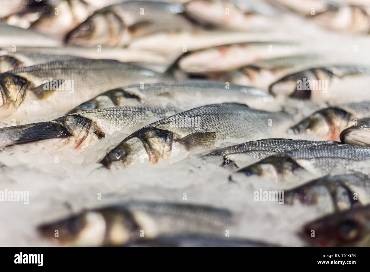 Cooking fish in water hi-res stock photography and images - Alamy